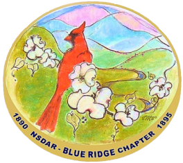 Welcome [blueridgedar.org]